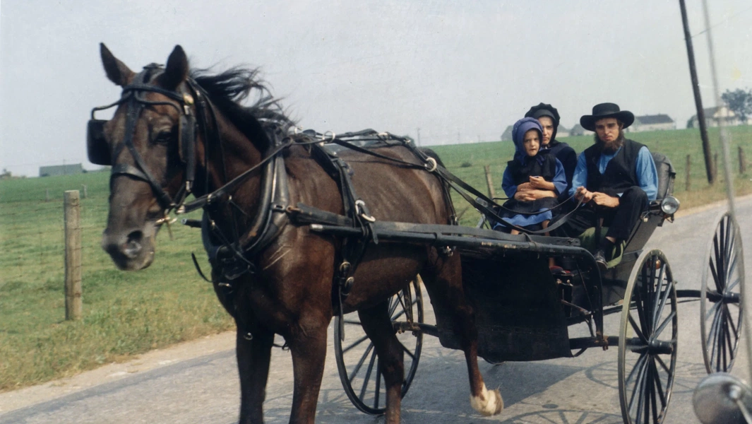 10 vintage photos of Amish life and traditions