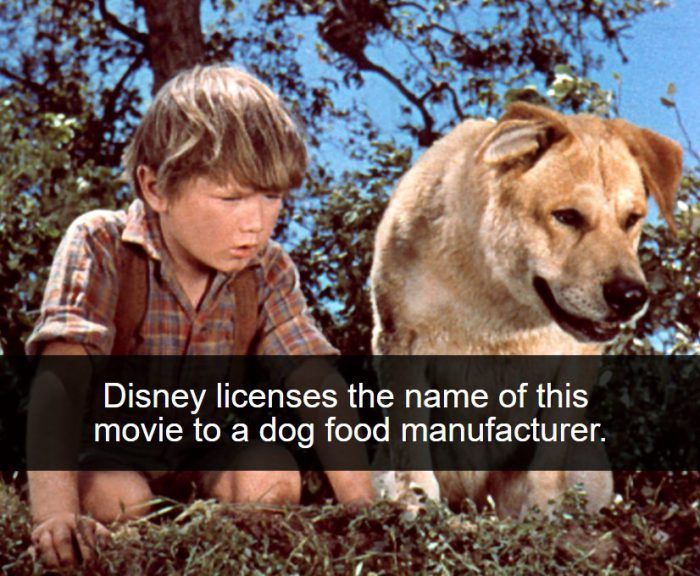 Behind the magic: Secrets from Disney's live-action films