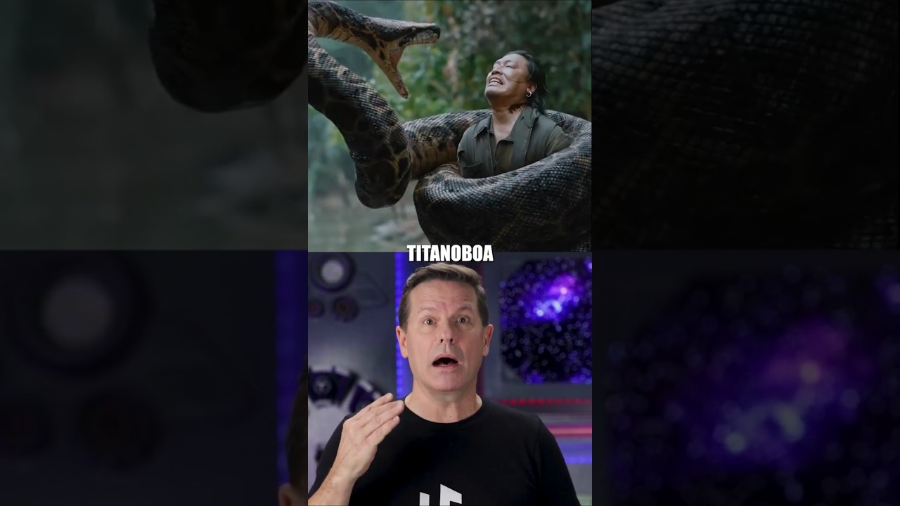 See what would happen if the titanoboa were still alive