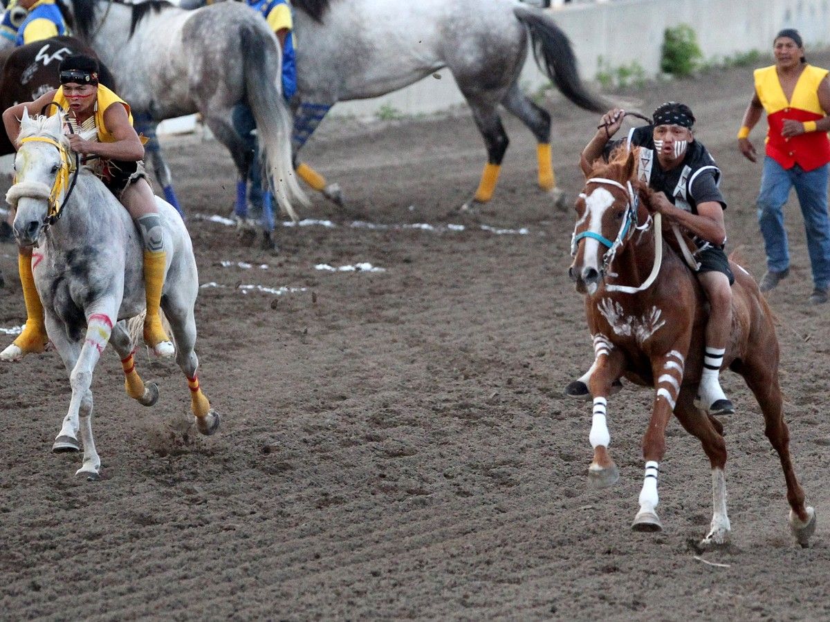 'Pretty overwhelmed with the interest': Calgary Stampede hosts ...