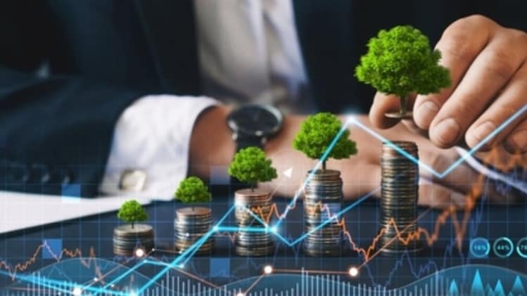 Why green taxonomy notification is key to India's climate finance push
