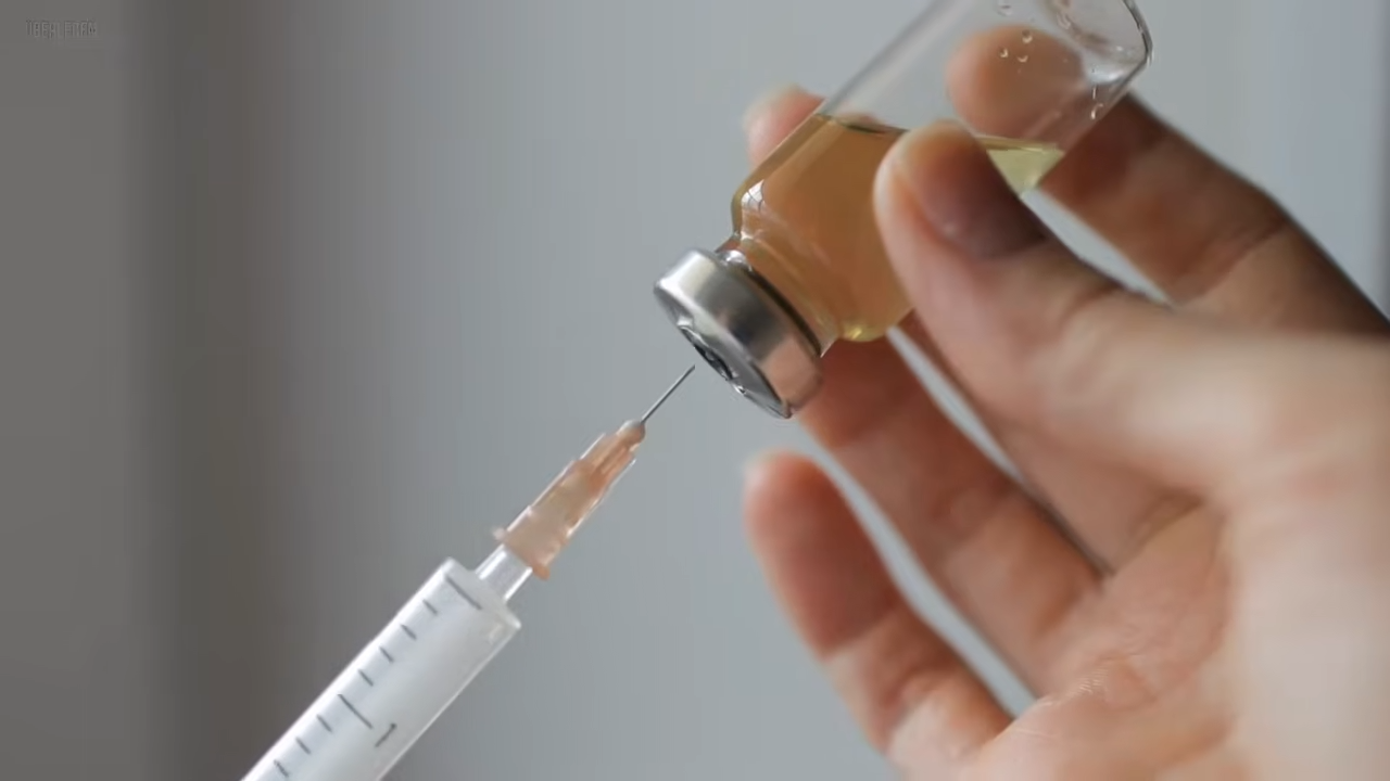 60,000 people die from this virus every year - and one bite is all it takes