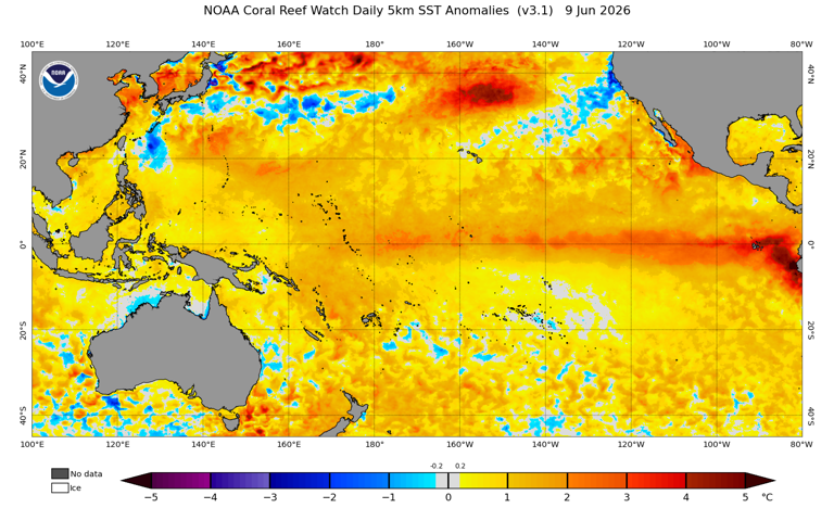 El Niño has formed. Forecasters expect a global weather powerhouse