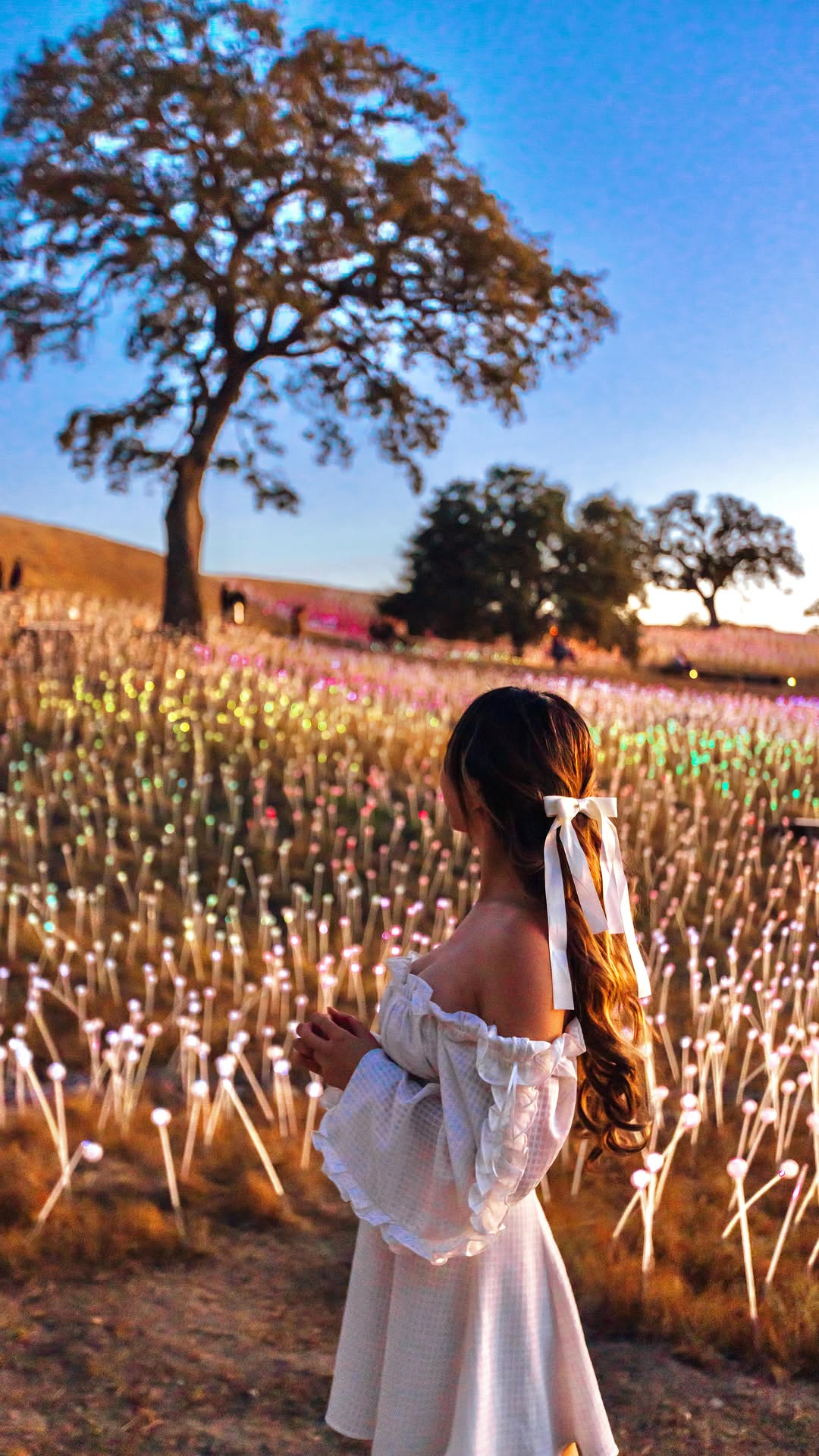 Sensorio field of light in California a dreamlike sunset experience