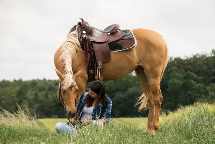 What makes palomino horses special? 10 facts you should know