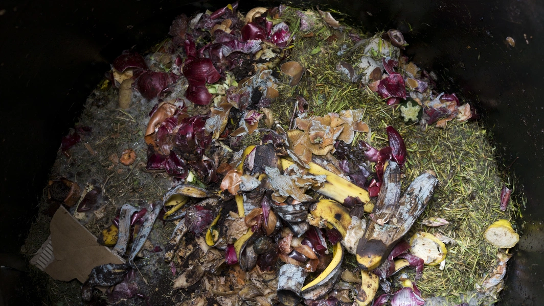 Experts promote in-place composting and pollinator planting