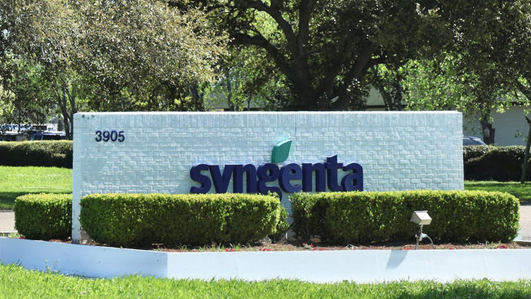 Is Florida citrus 'herbicide of choice' behind growers, researchers ...