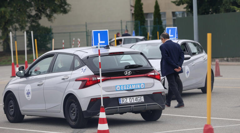 17-latkowie chętnie zdają na prawo jazdy. Duże zainteresowanie kursami ...