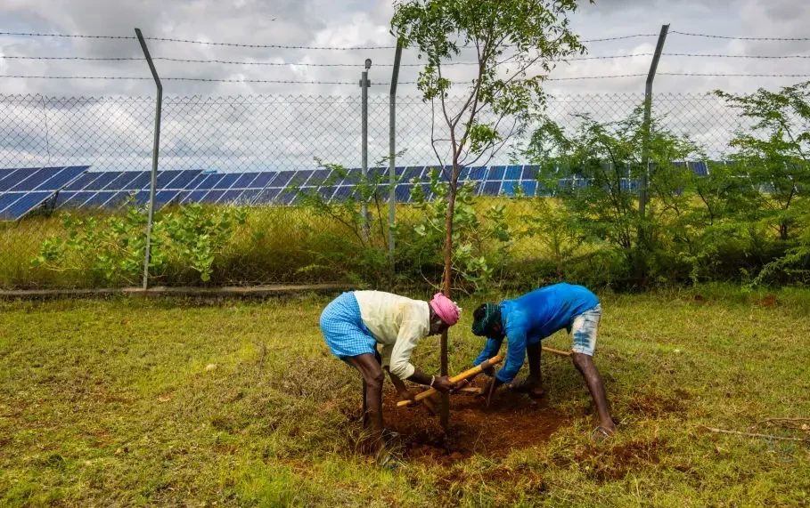 Karnataka labourer’s 65,000 trees cool village, create jobs