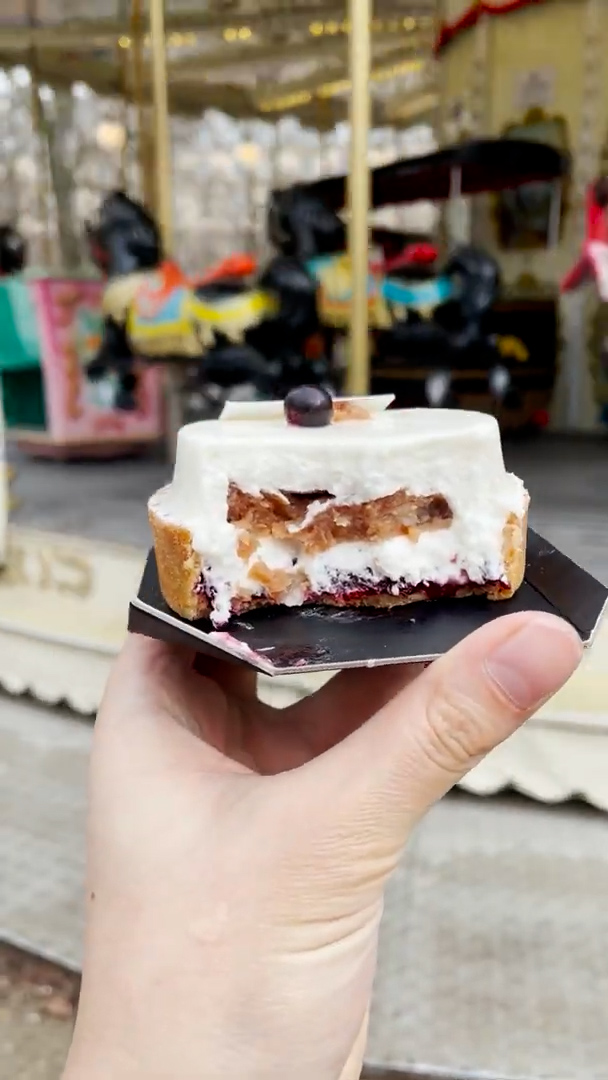 Exploring an elegant collection of fancy pastries