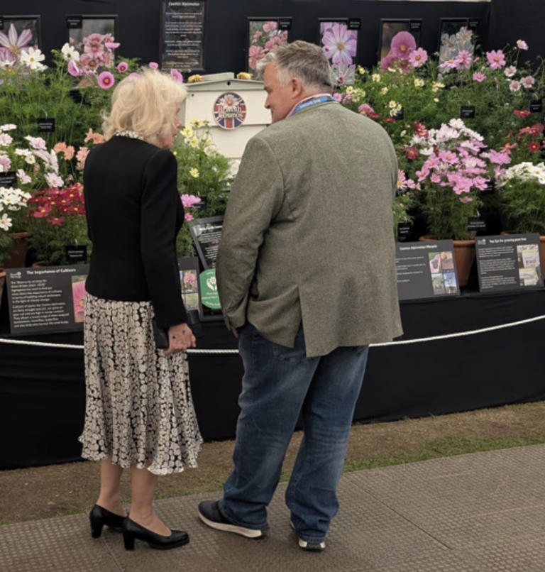 Chesterfield-born grower wins second Chelsea Flower Show gold medal