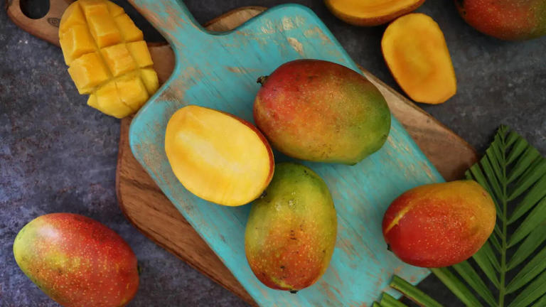 A farmer from Bihar is cultivating Japan's most expensive mango: 4 ...