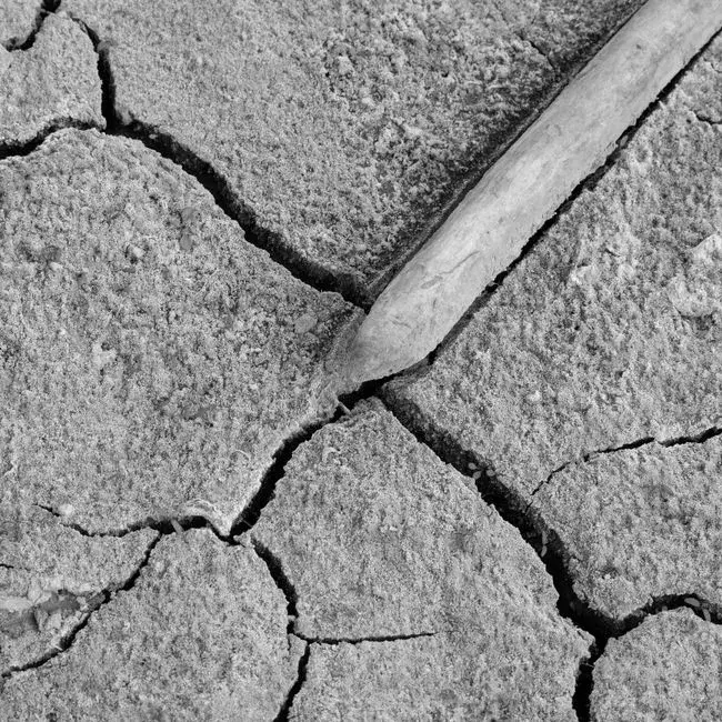 Scientists say these 8 once-stable regions are now a worrying ...