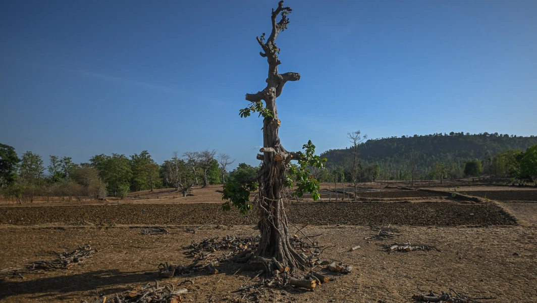 Karnataka labourer’s 65,000 trees cool village, create jobs
