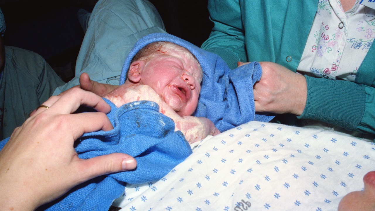 A baby’s brain may be shaped before birth by its genes and gut microbes ...