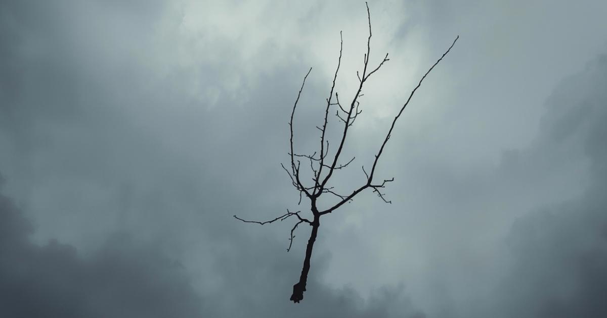 Texas man noticed a floating tree branch: What does this mean ...