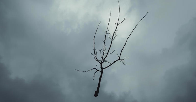 Texas man noticed a floating tree branch: What does this mean ...