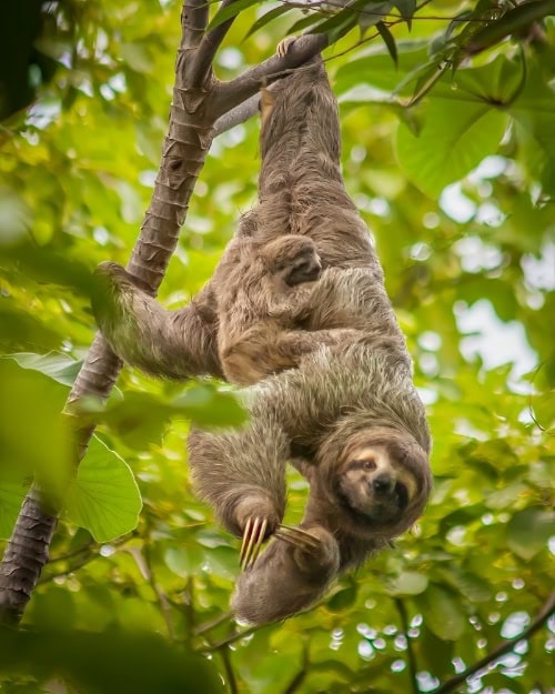 Wildlife bucket list: 8 encounters that changed the way we see the world