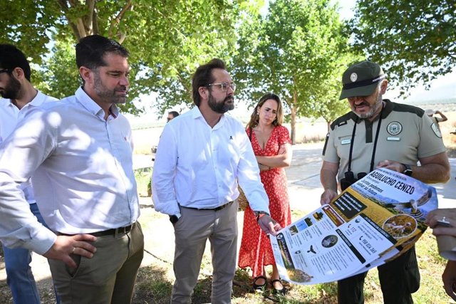 La Junta refuerza la conservación del aguilucho cenizo con actuaciones ...