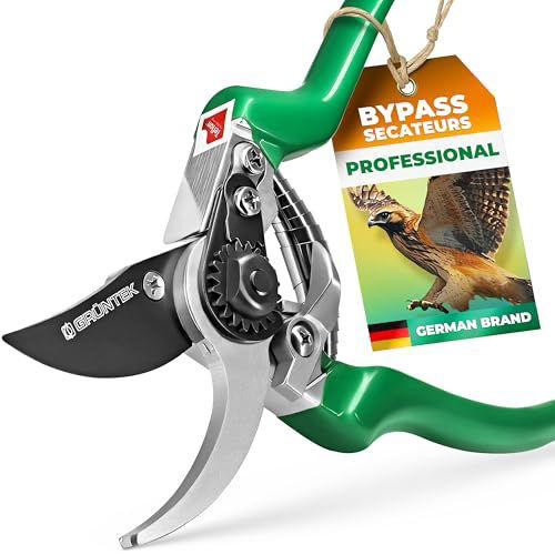 Say goodbye to aching hands – these power-assisted secateurs make ...