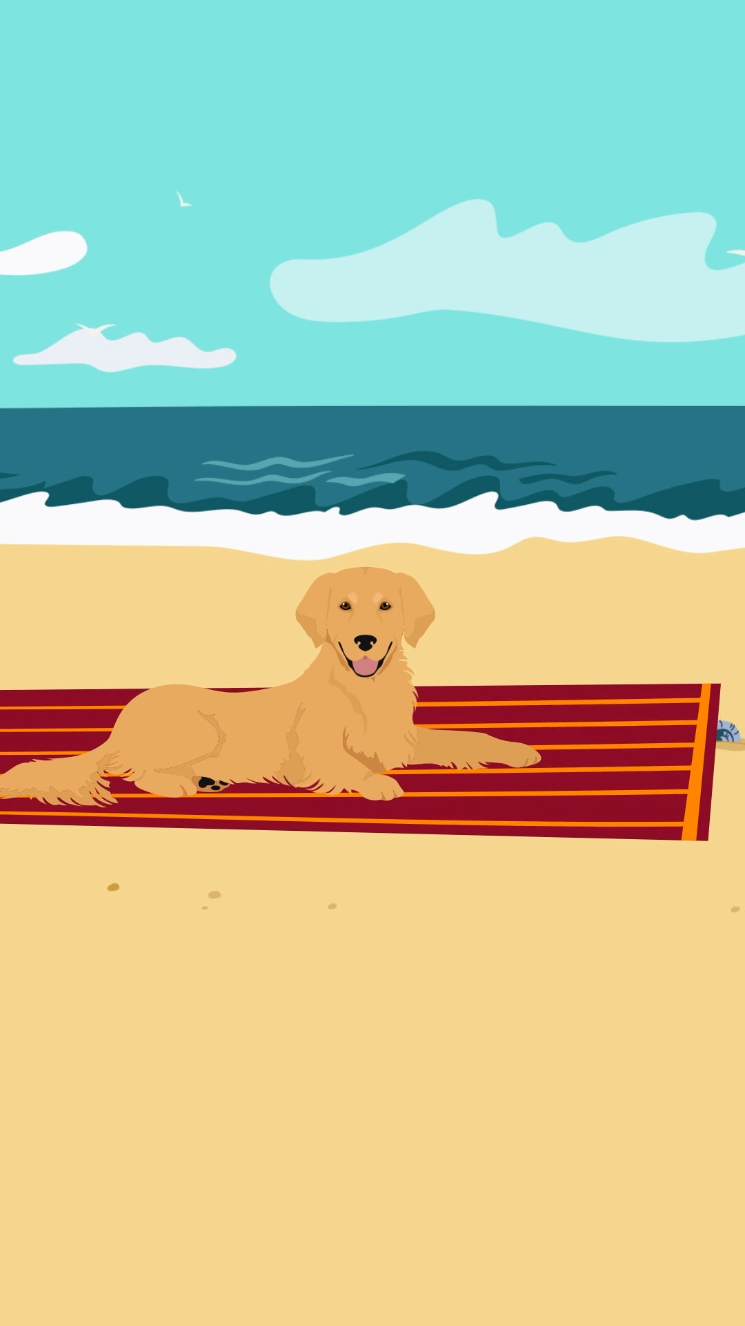 How to keep your dog safe at the beach