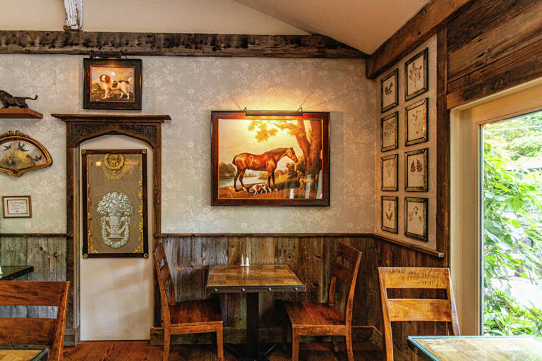 Pubs, izakayas, and outlaws: 10 places around Connecticut to watch the ...