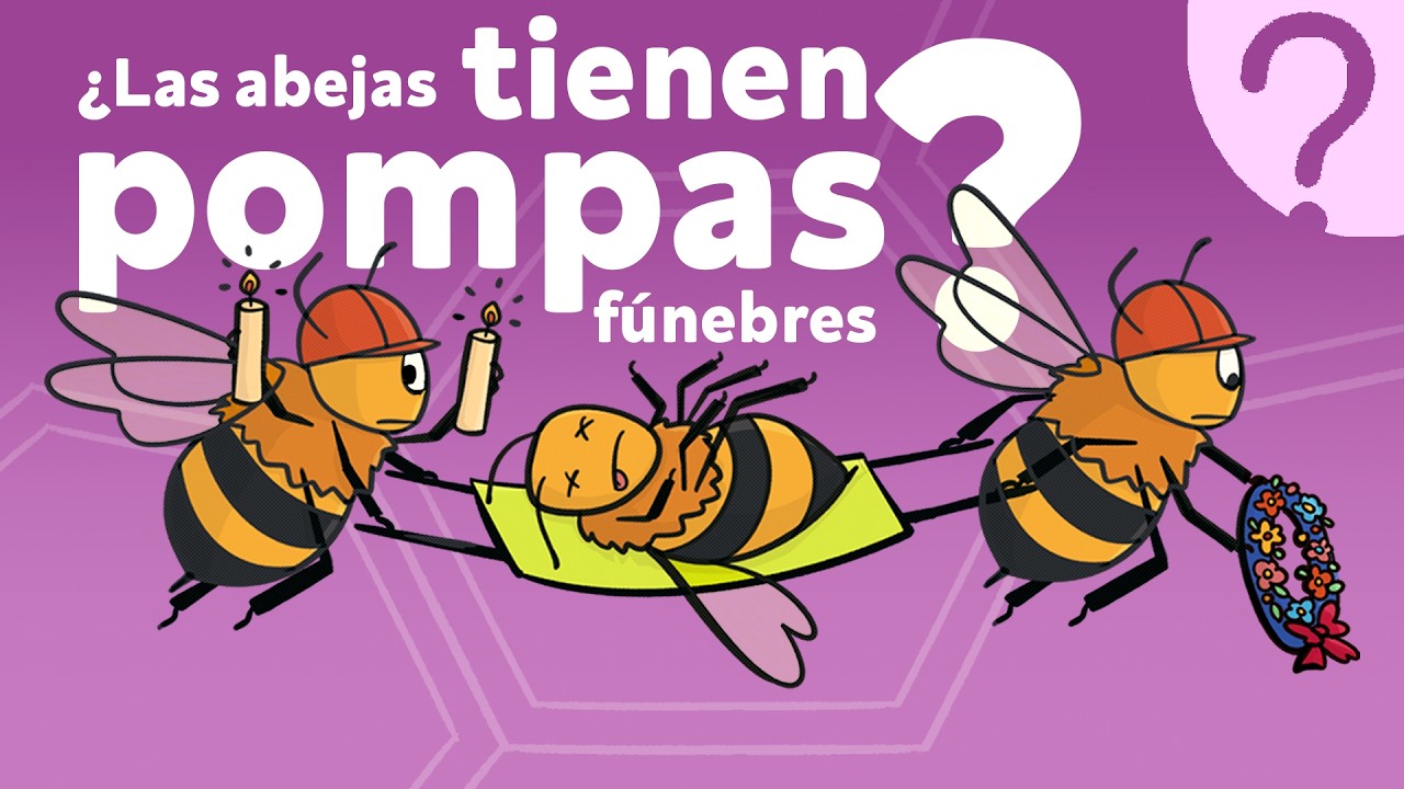 ¡5 datos increíbles sobre las abejas!