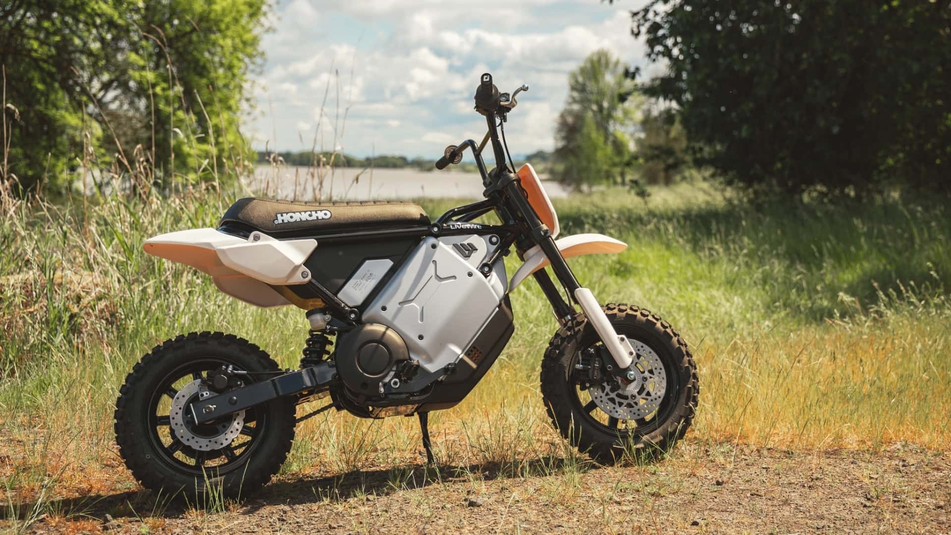 Is Harley's new low-cost beginner bike what it's been missing? Probably