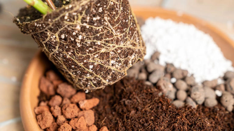 How soil enhancers perlite, vermiculite, and zeolite work