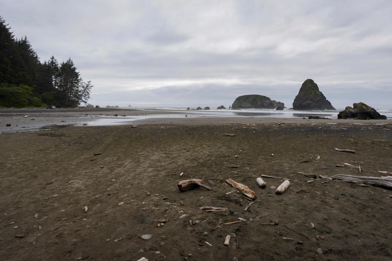 Our 8 favorite beaches on the central and southern Oregon coast