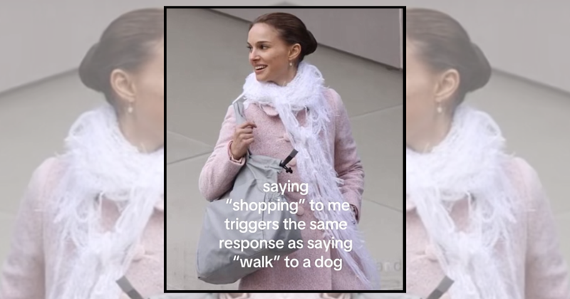 A closet full of clothes and still nothing to wear: 28 fashion memes ...