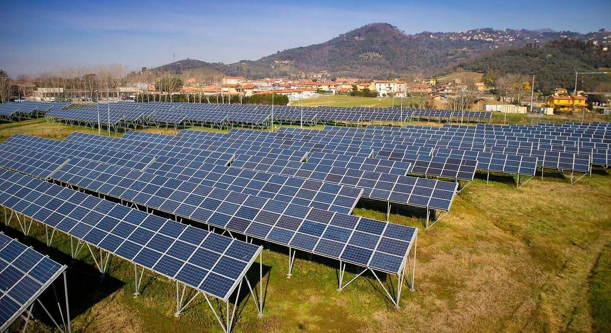 Los biólogos no dan crédito: en el suelo de una planta solar, sin que ...
