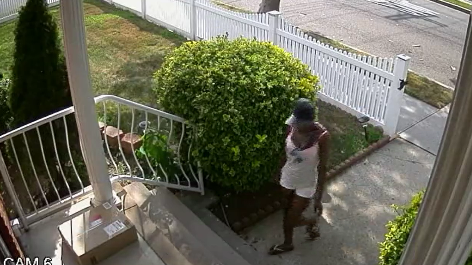 Stolen package