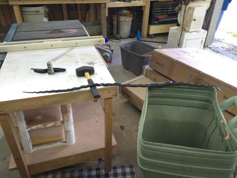 Dad finds 'braided' snake in garage before commenters reveal why they ...