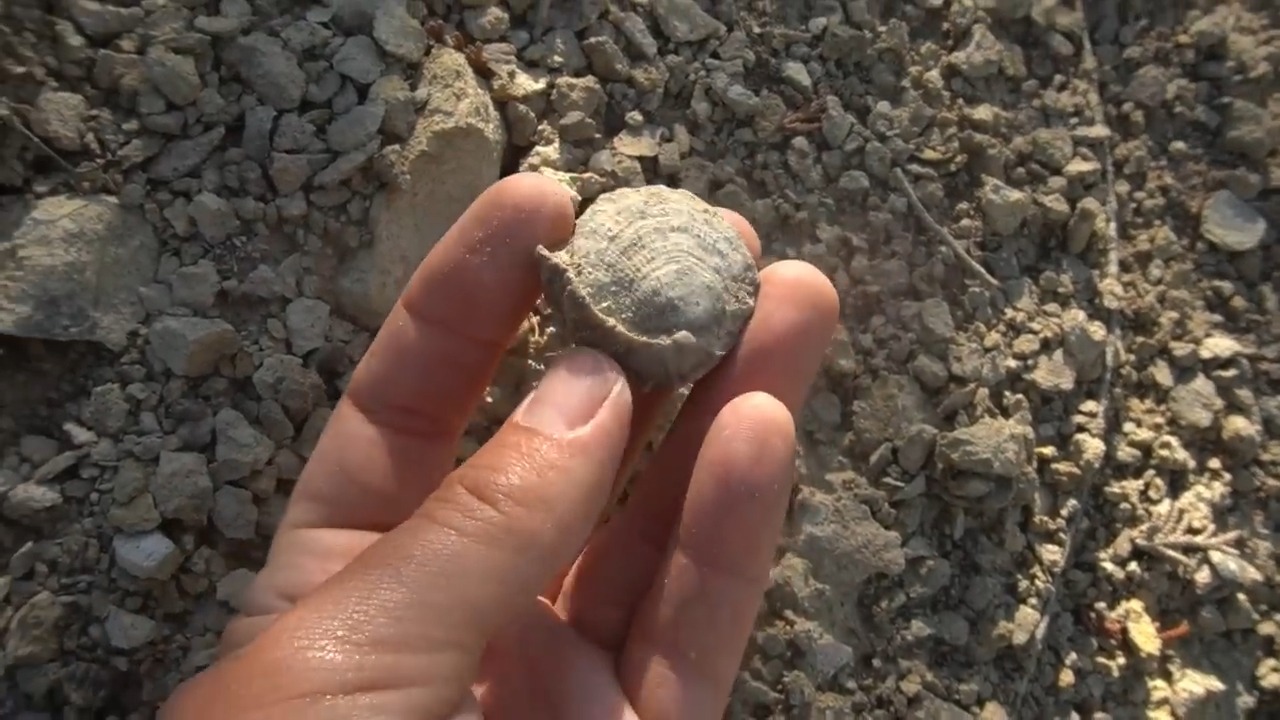 “It was just lying there” - He entered a Michigan quarry and started ...