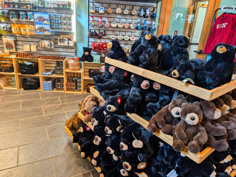 Sitka’s Fortress of the Bear – the unique bear sanctuary you must visit