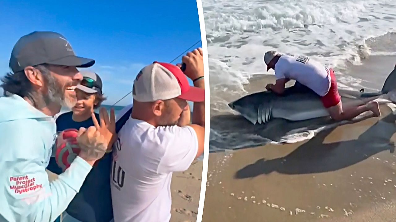 Fisherman lands first great white shark - and releases it in 15 seconds