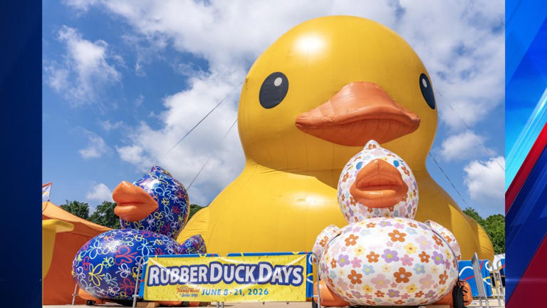 World’s largest rubber duck visits Holiday World for Rubber Duck Days