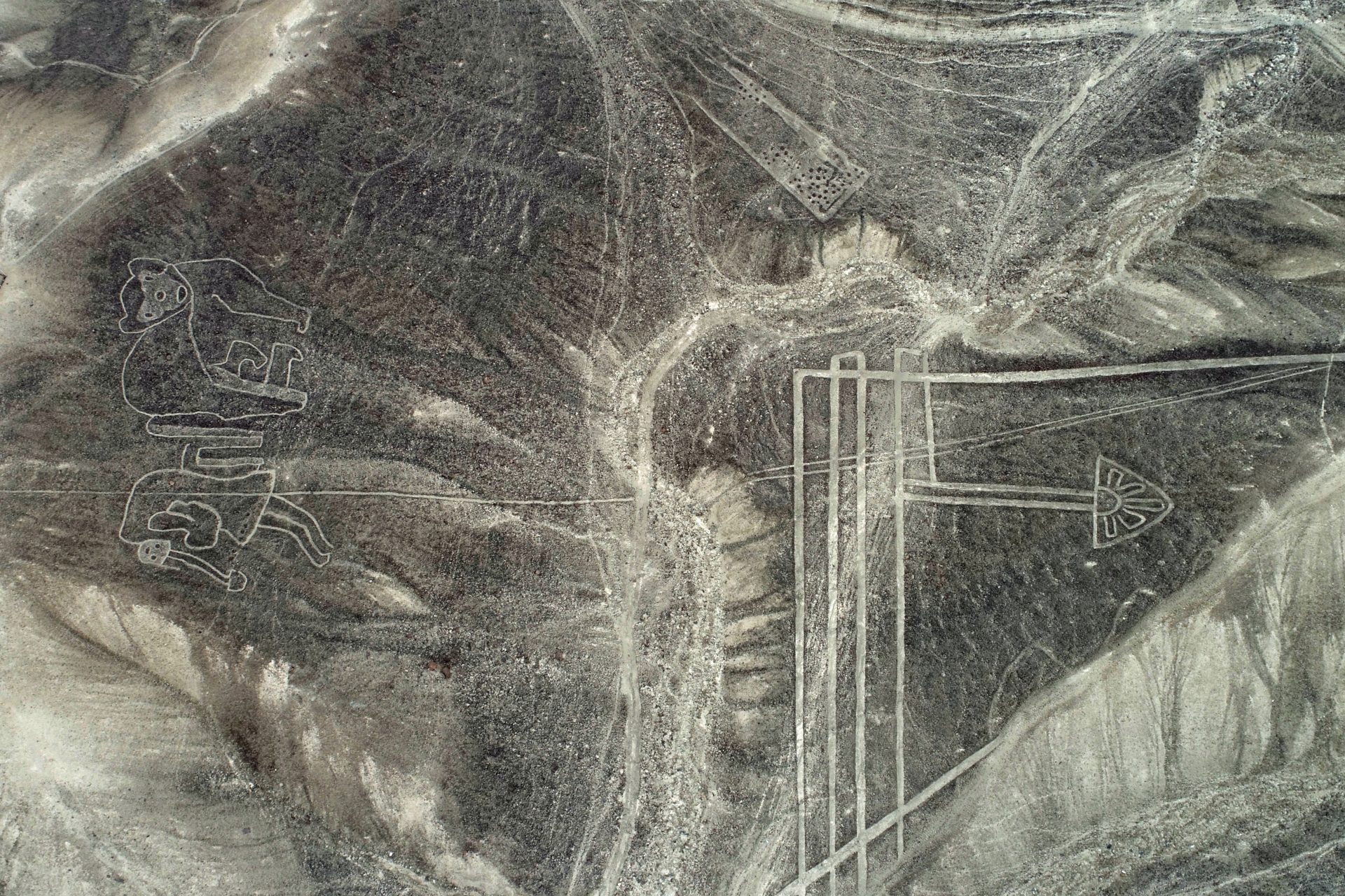 Nazca Lines: The mystery hidden in the desert