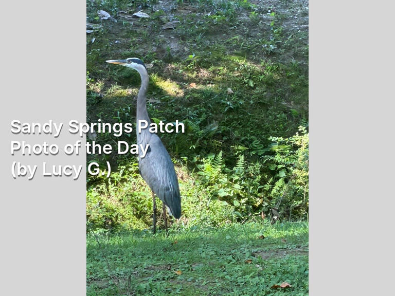 🌱 Patch AM: How Sandy Springs police used a 'James Bond' tool on ...