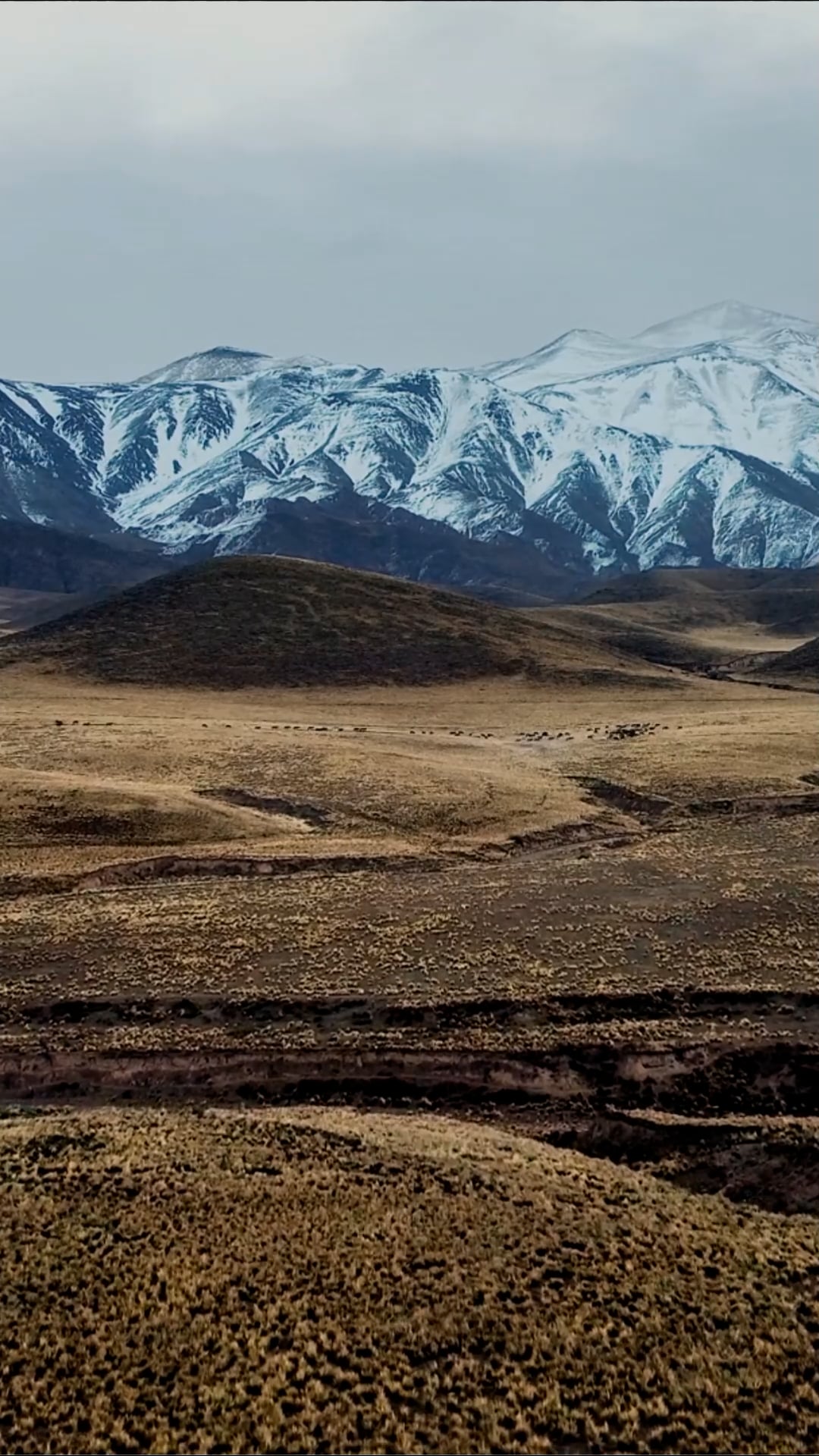 Mendoza, Argentina: Drone menjelajahi salah satu ibu kota anggur terbesar