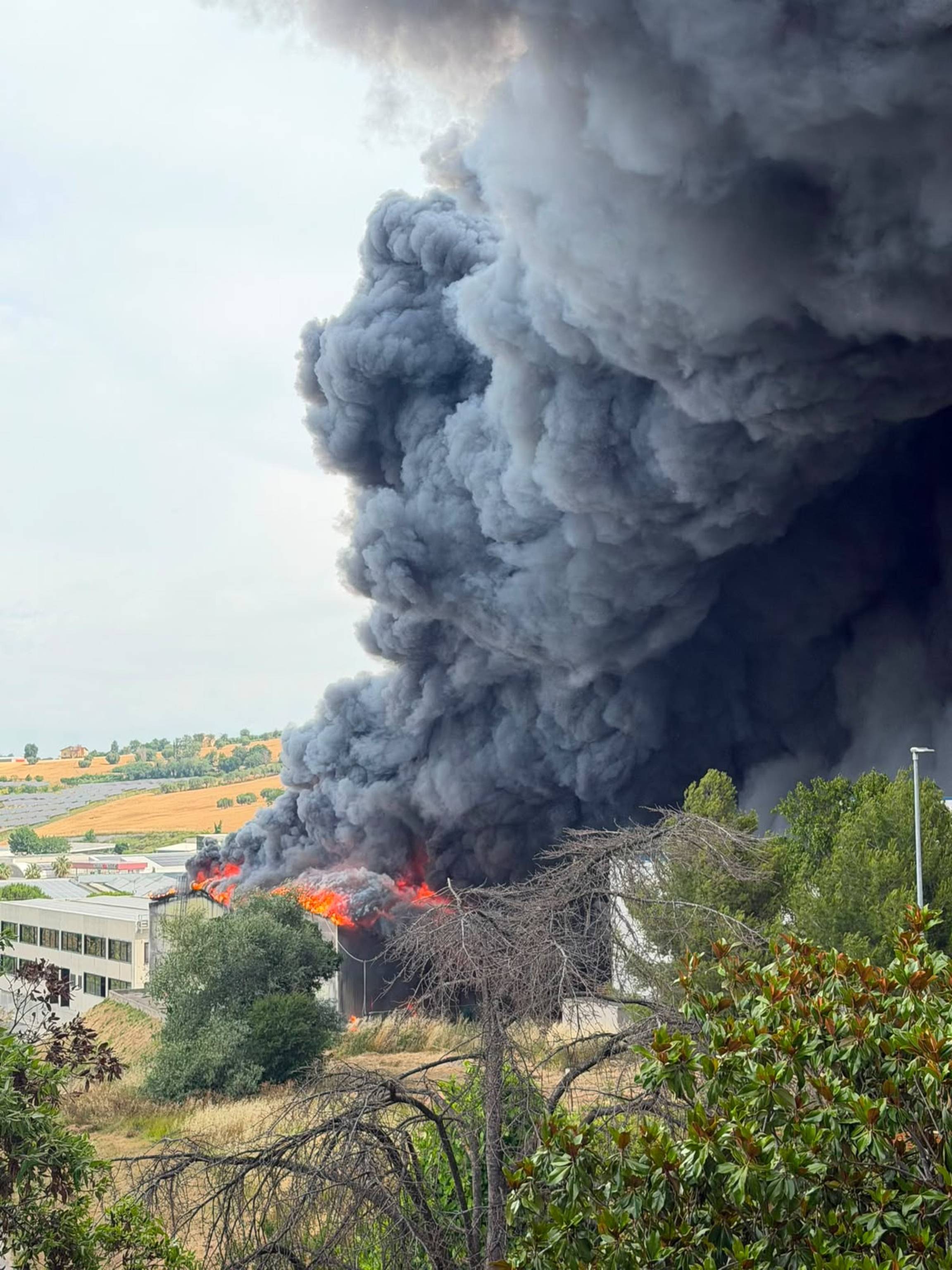 Vasto incendio in azienda nell'Anconetano, nube di fumo visibile da ...