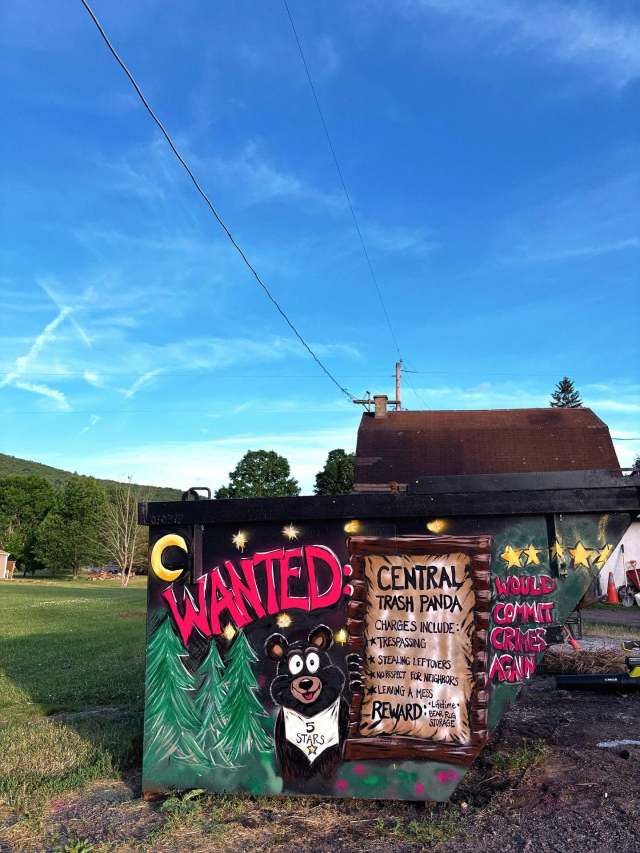 Rural hotel owner paints a message on dumpster after repeat bear raids ...