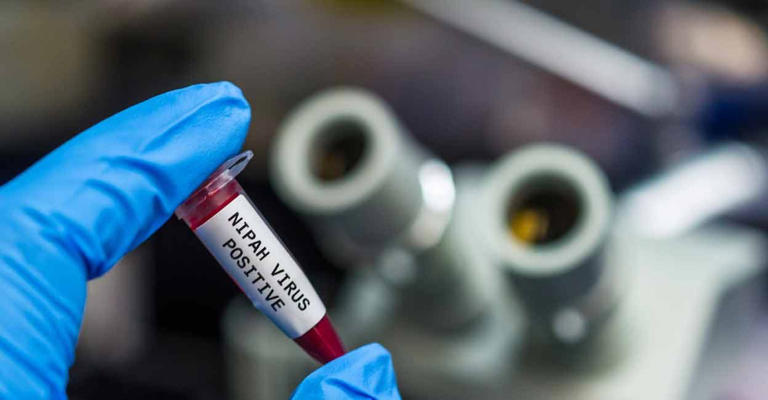 Nipah patient's condition critical, 5 primary contacts under ...