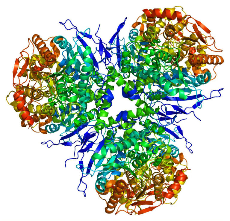 Genetic map for cocaine addiction points beyond brain to liver