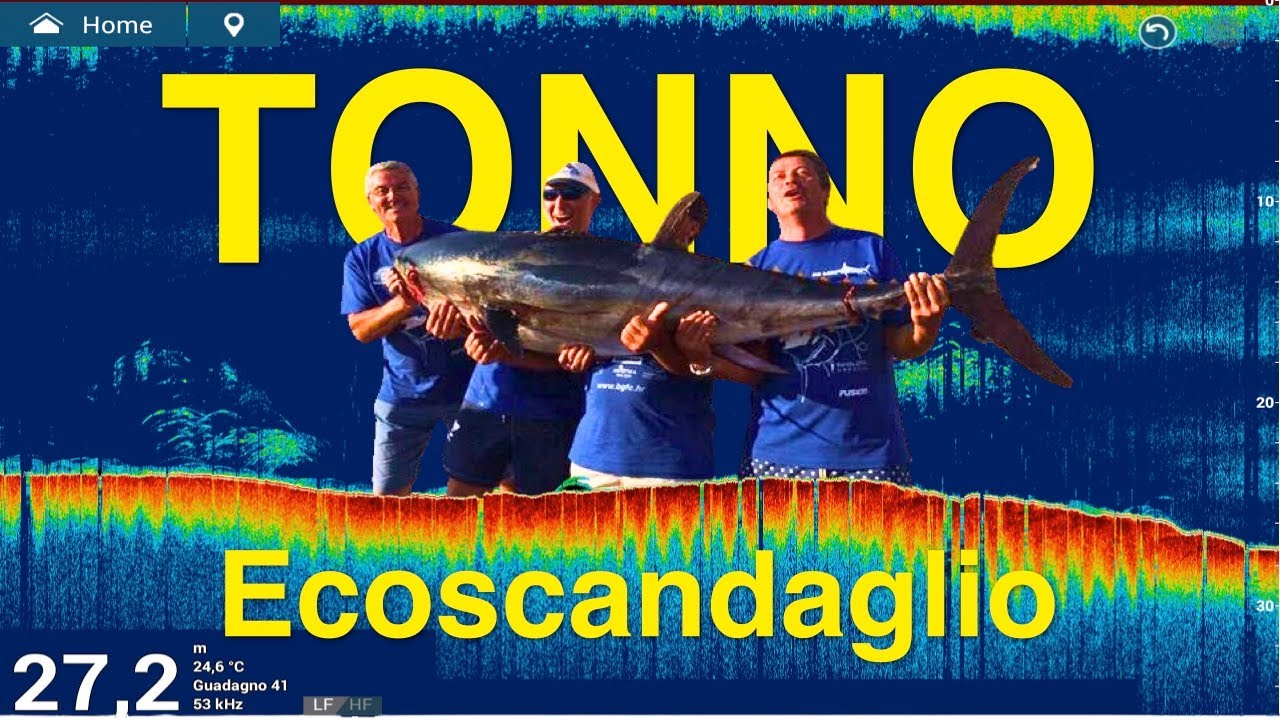 Pesca tonno power chumming sonar cartografia guida