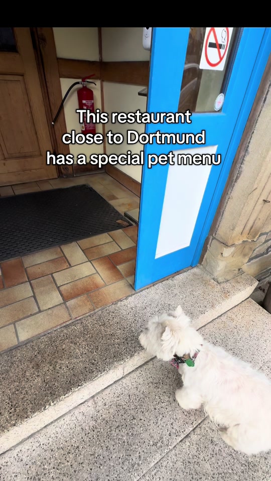 Dog friendly restaurant near Dortmund