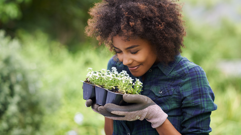 Why talking to your garden plants isn't such a bad idea after all
