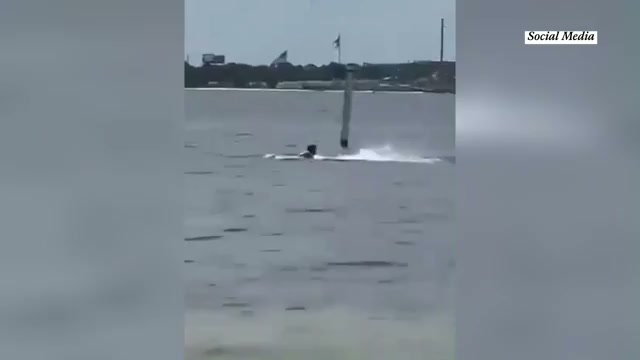 Man attacked by shark while swimming during lunch break at naval base