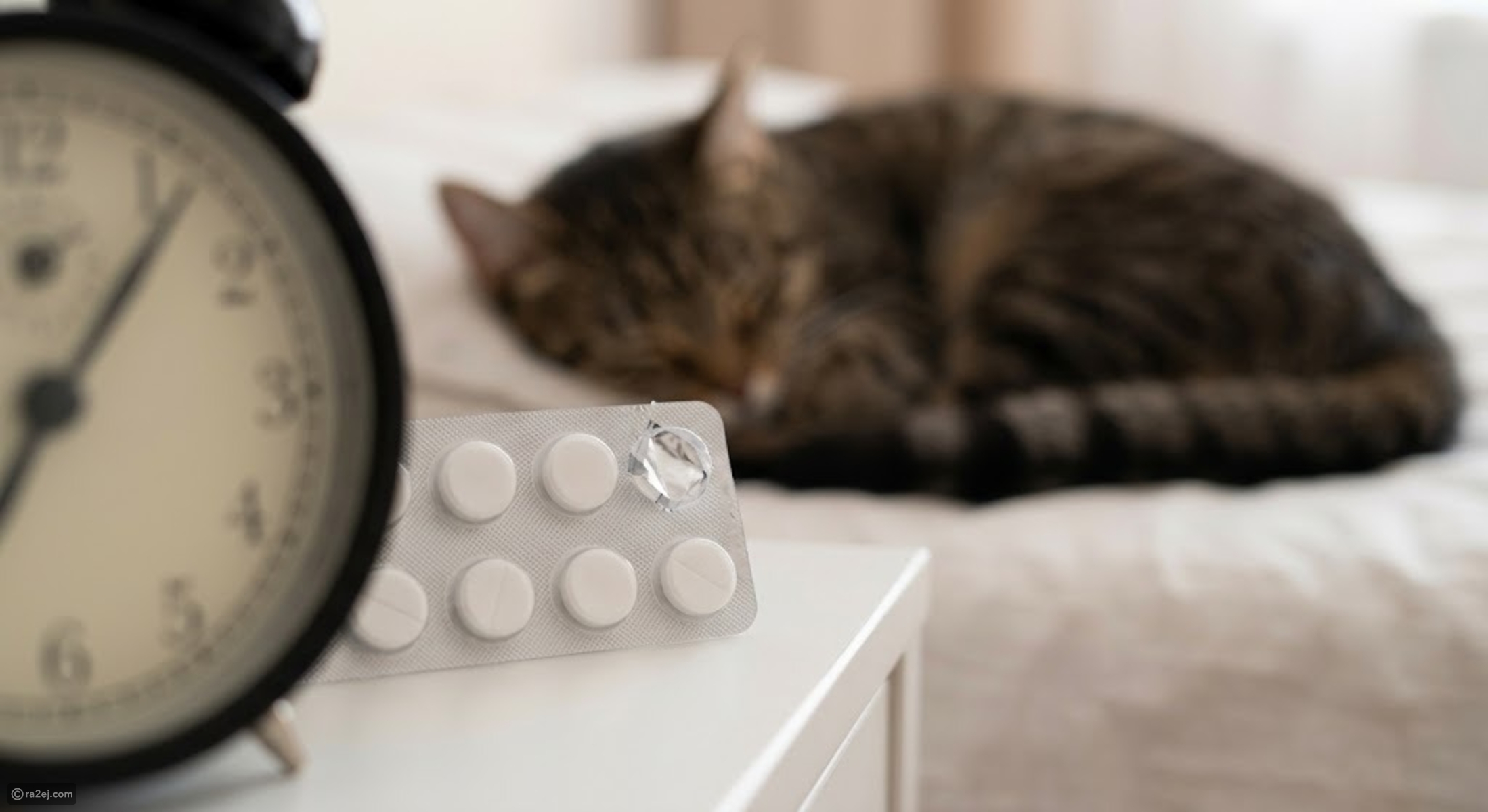 Urgent warning: Never give your pet these common medications
